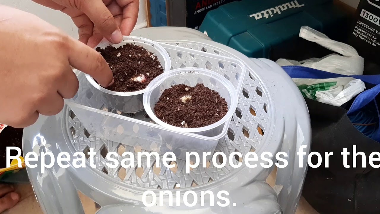 How-To #5: How to do basic planting. - YouTube