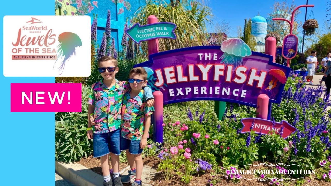 🐙NEW! Jewels of the Sea: Jellyfish Experience - SeaWorld San Diego 2025 ...