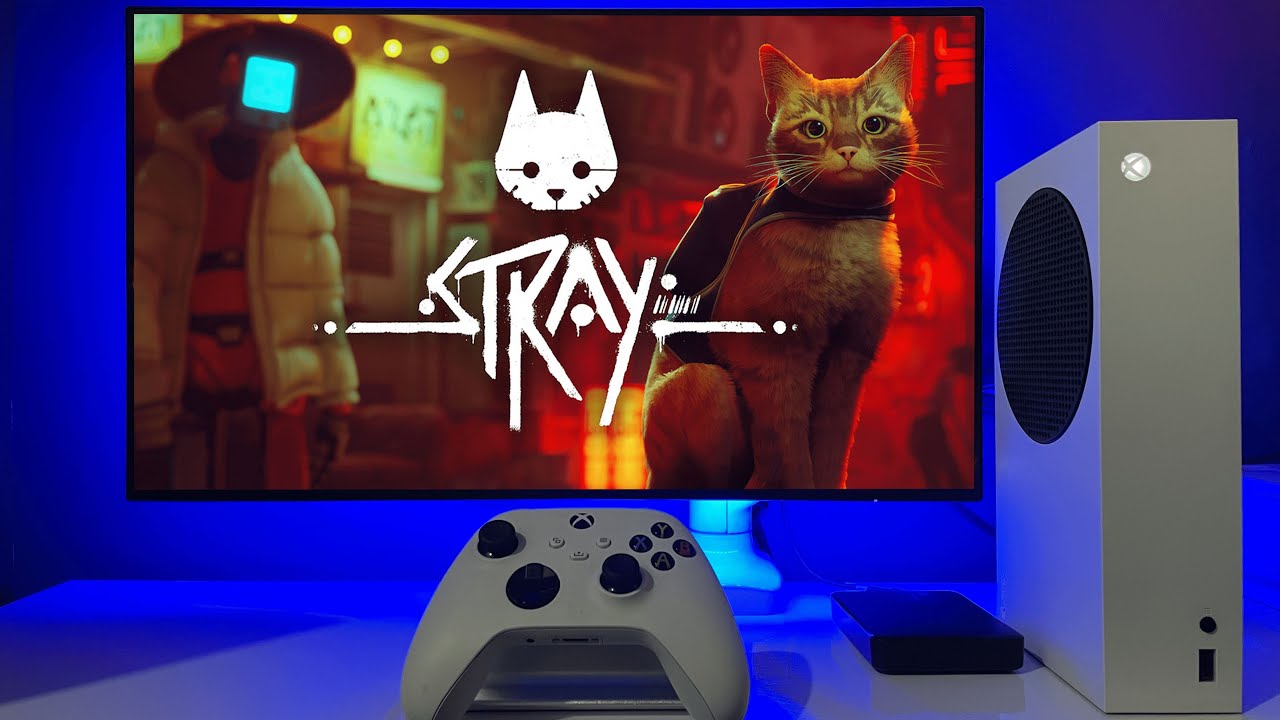 Stray gameplay Xbox Series S - YouTube
