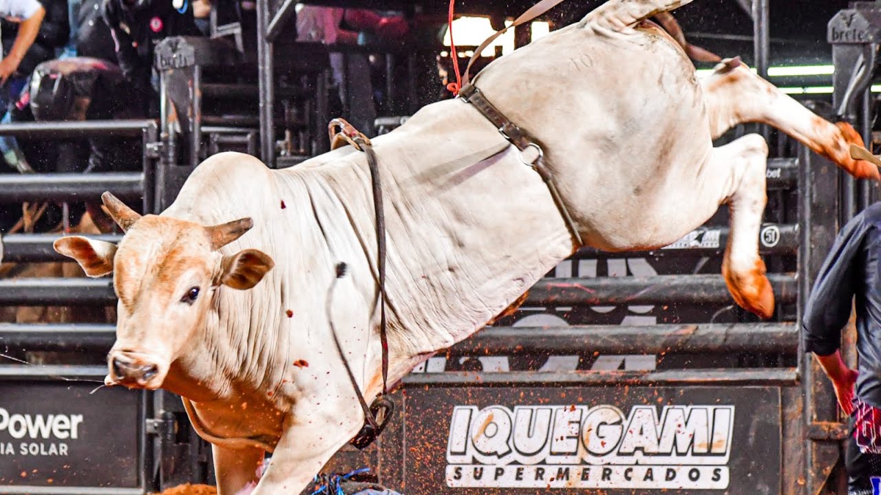 Rodeio BARRETOS INTERNATIONAL RODEO 2024 (QUINTA / MELHORES MOMENTOS ...