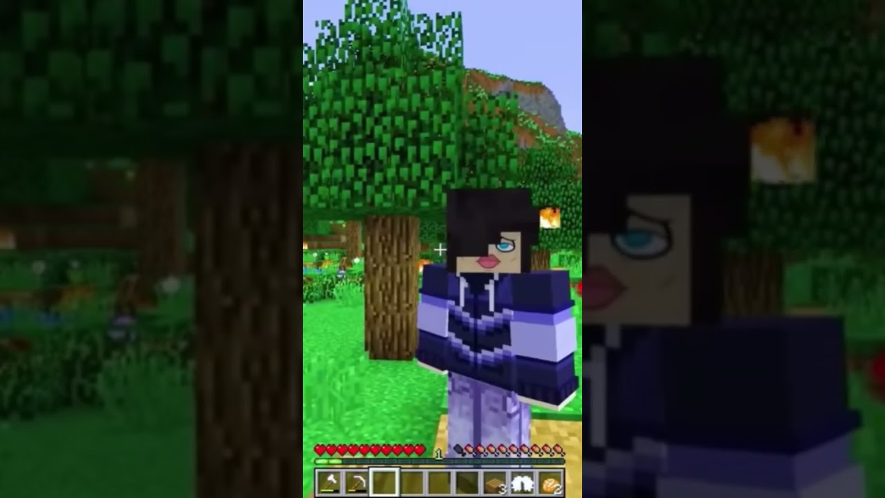 But At Least I Still Have My Looks… | Ein | Minecraft | Aphmau | Zane ...