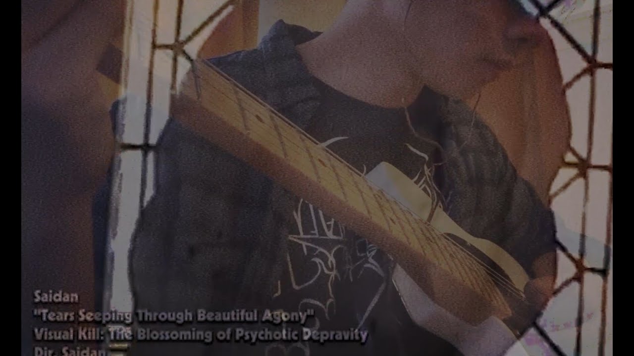 Saidan - Tears Seeping Through Beautiful Agony (Guitar Cover) - YouTube