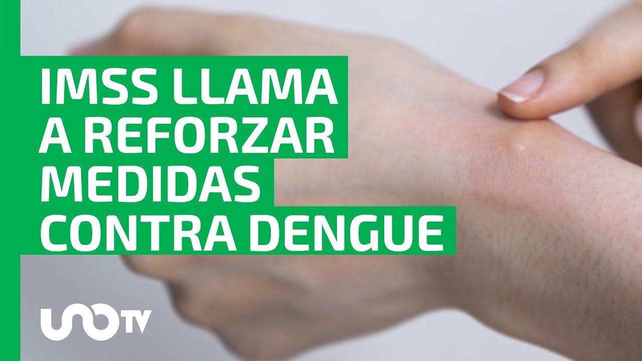 IMSS pide reforzar medidas de prevención contra el dengue en México ...