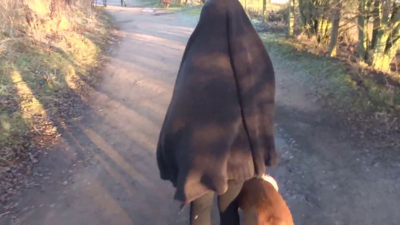 Walking Around The Forfar Loch - YouTube