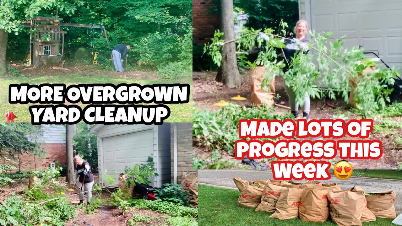 BACKYARD CLEAN-UP WITH LOTS OF PROGRESS/ removing more overgrowth and ...
