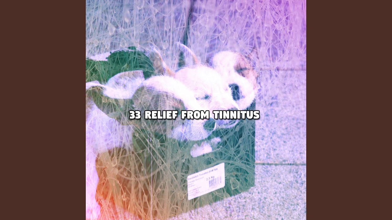 Lull Into Quiet - YouTube