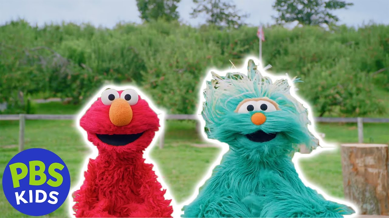 Sesame Street | PLAY ALONG: Nature or Not Nature | PBS KIDS - YouTube