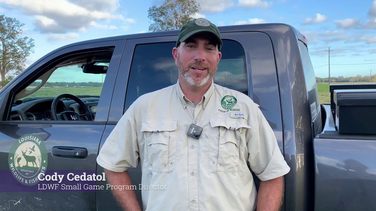 Rocket Netting Turkeys - YouTube