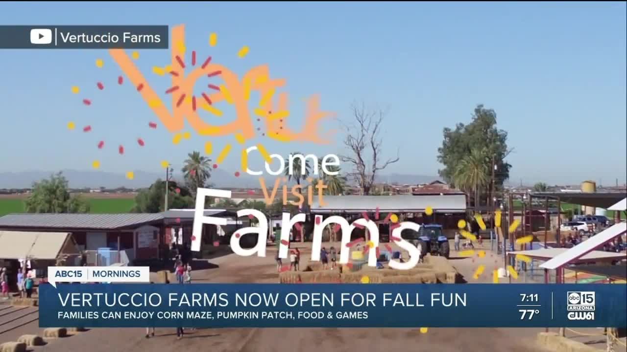 Vertuccio Farms opens for fall fun - YouTube