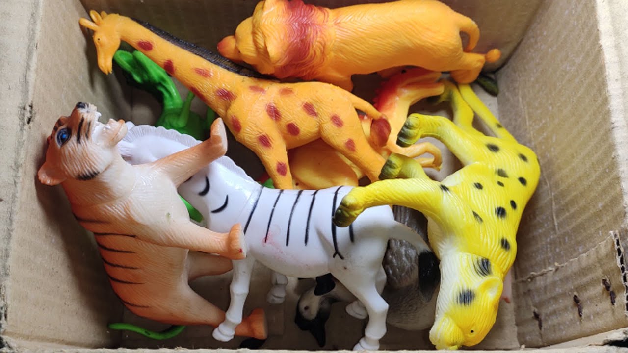 Animals new video tiger elephant Rhinoceros leopard Hippo ziraff duck ...