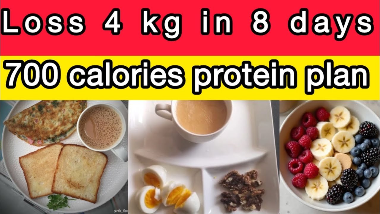 Loss 4 kg in 8 days || 700 calories protein plan || Slim eats 👩🏻‍🍳 ...