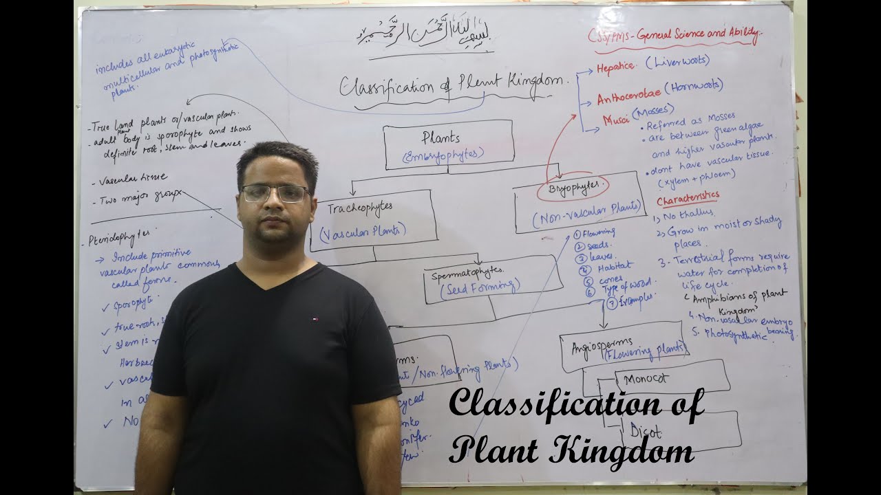 Tutorial:Classification of Plants - YouTube