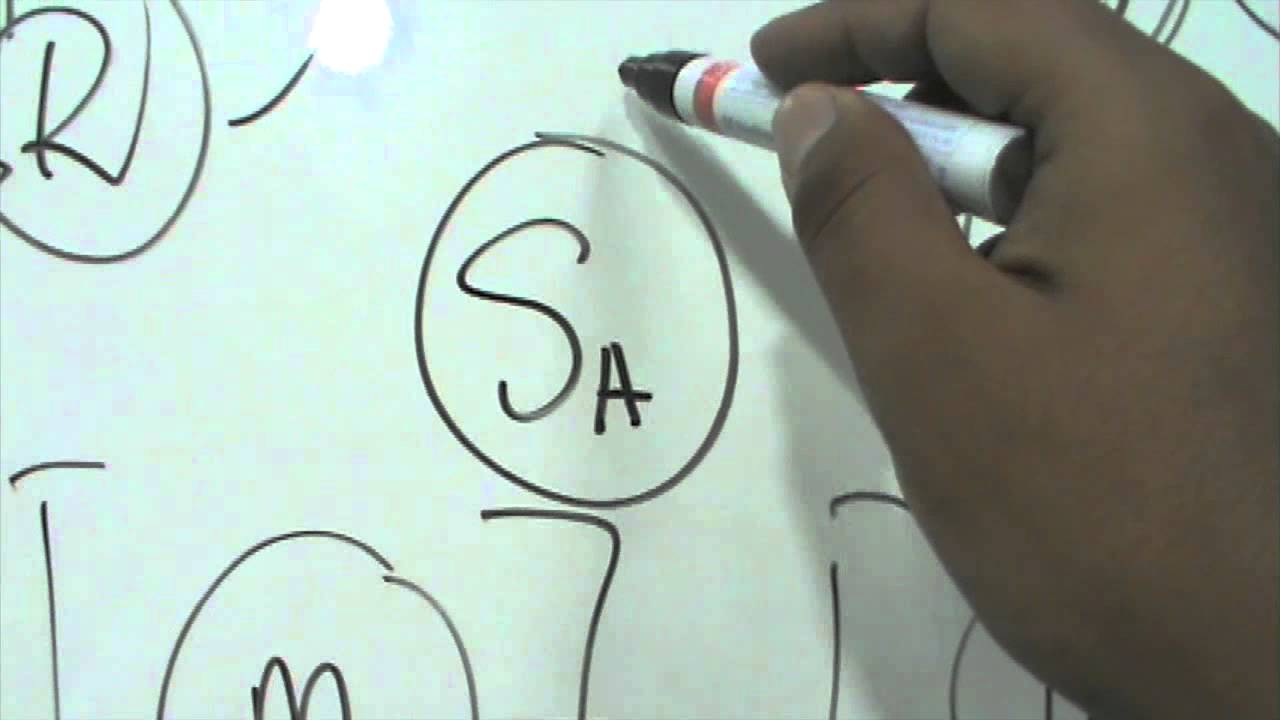 SESIÓN 1 - INTRODUCCIÓN A LAS PREMISAS LÓGICAS - YouTube