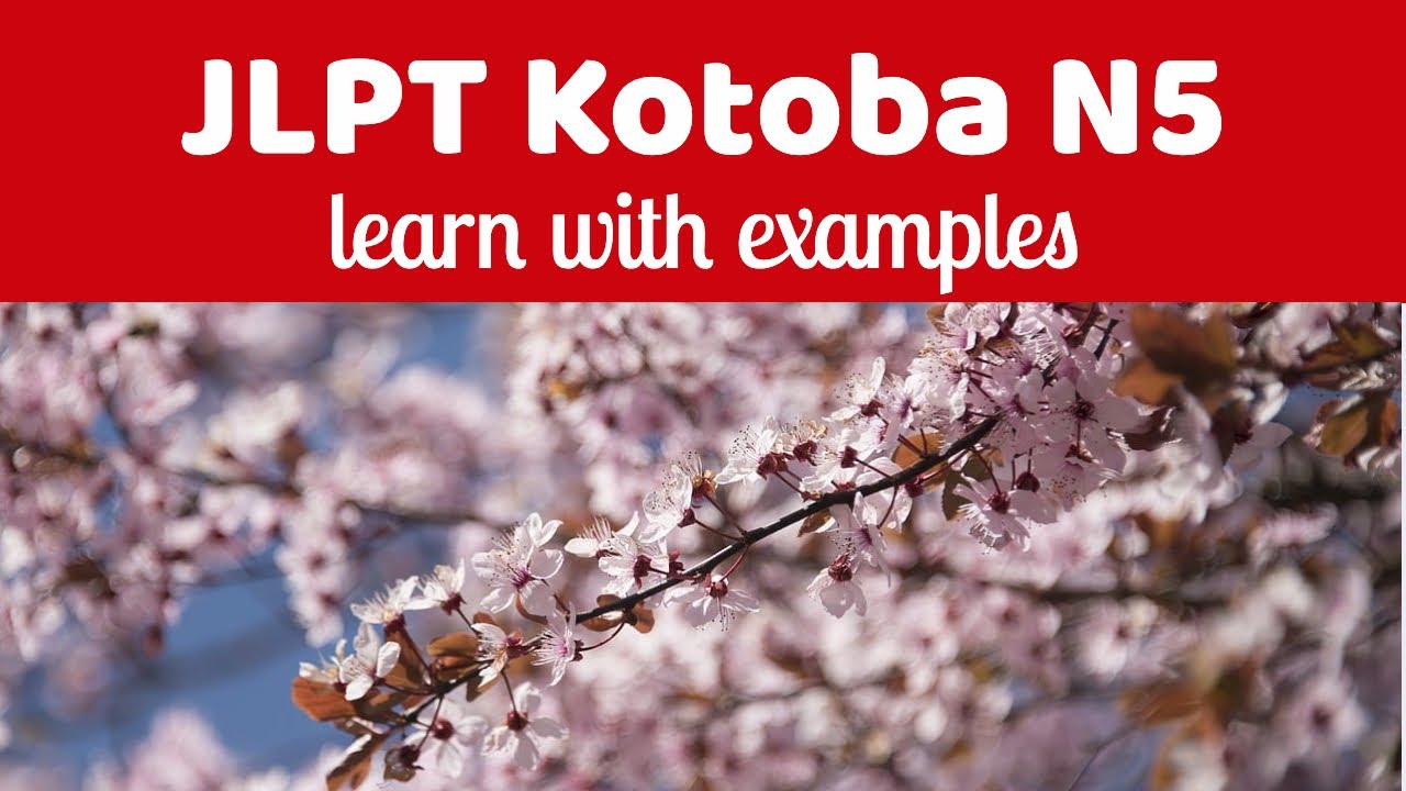 JLPT Kotoba N5 with examples - YouTube
