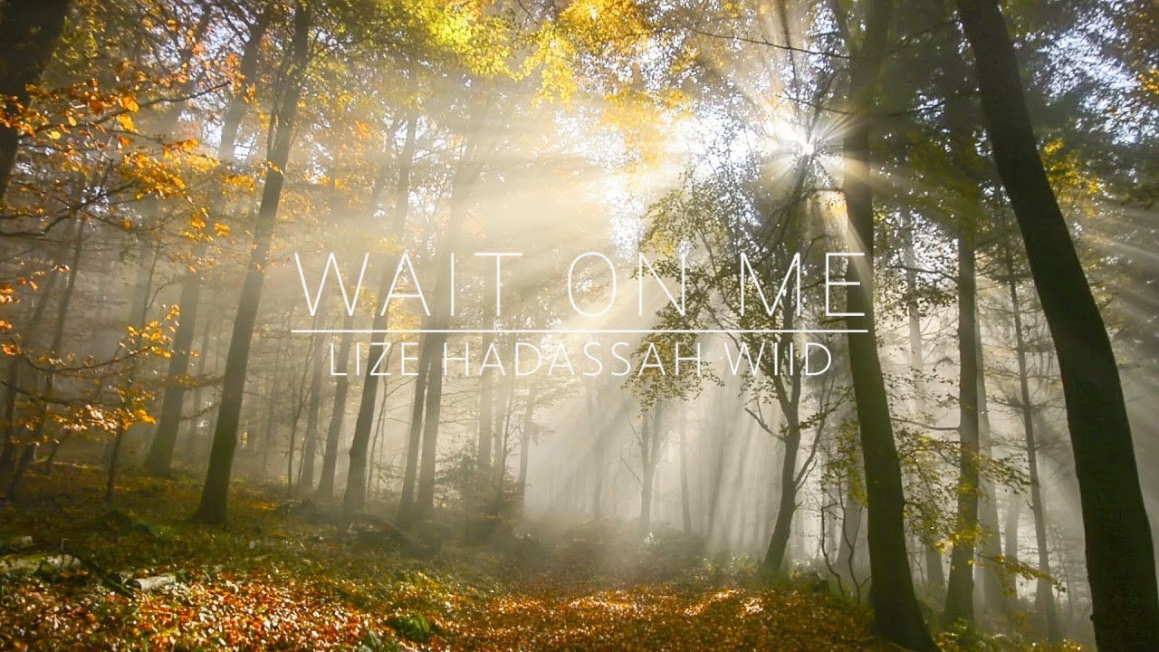 Wait On Me (Lyric Video) | Lize Hadassah Wiid | Born For Such A Time ...