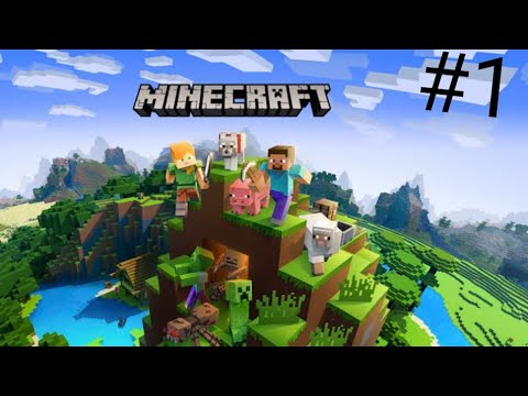 my new minecraft survival series (e1) - YouTube