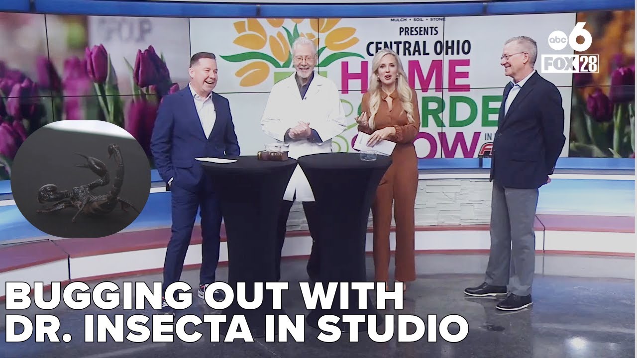 Dr. Insecta brings BUGS into the Good Day Columbus Studio - YouTube