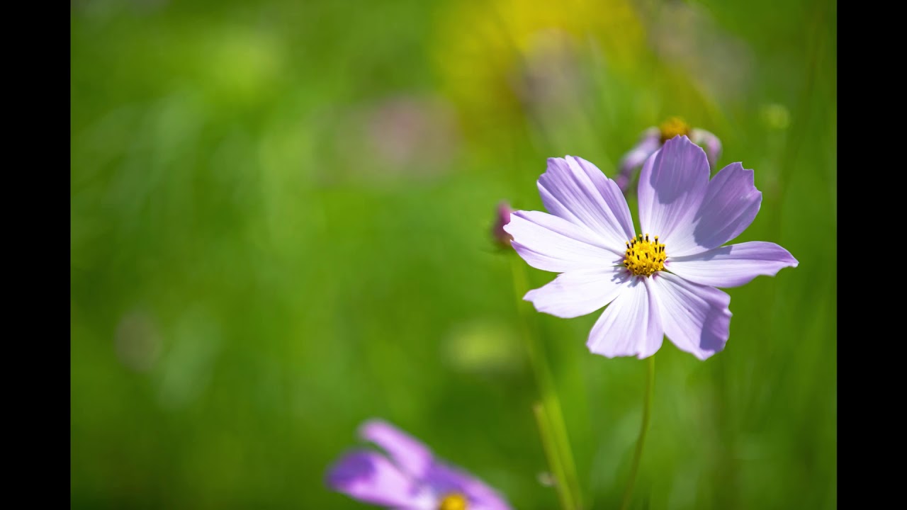 Keith Sweat - In The Rain - YouTube