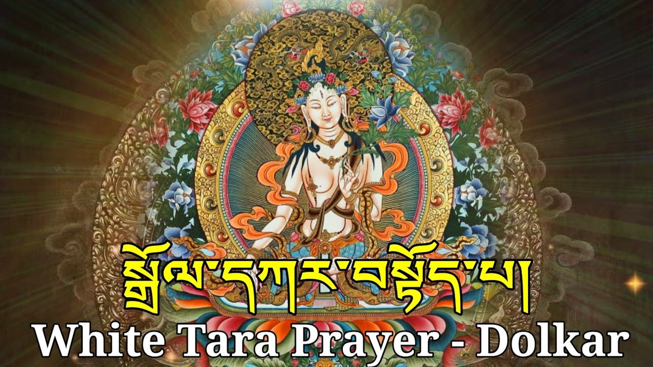 ☸White Tara Prayer(Dolkar)སྒྲོལ་དཀར།|Drolma, Dolma, Tara|Buddhist ...
