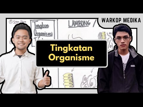 Tingkatan Organisme | Biologi | Fundamental Basic Science