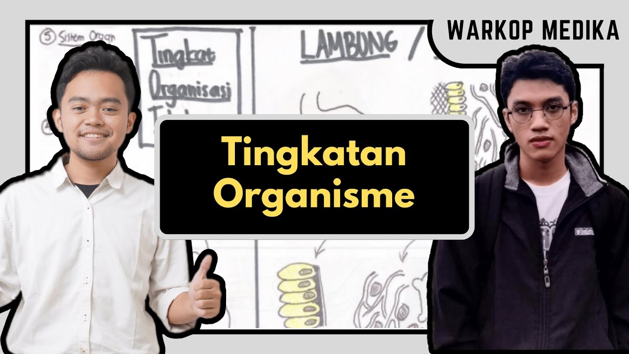 Tingkatan Organisme | Biologi | Fundamental Basic Science (FBS) - YouTube