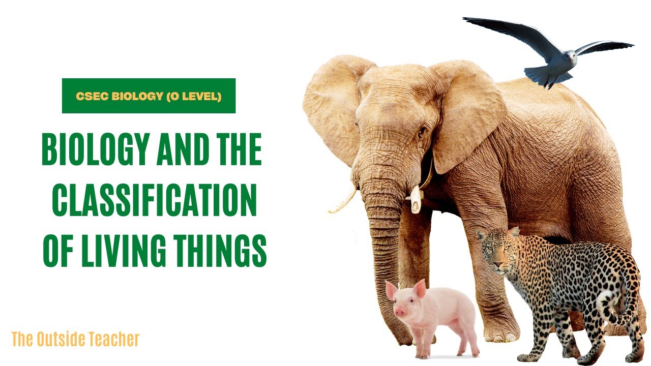 CSEC Biology (O Level) - Biology and the Classification of Living ...