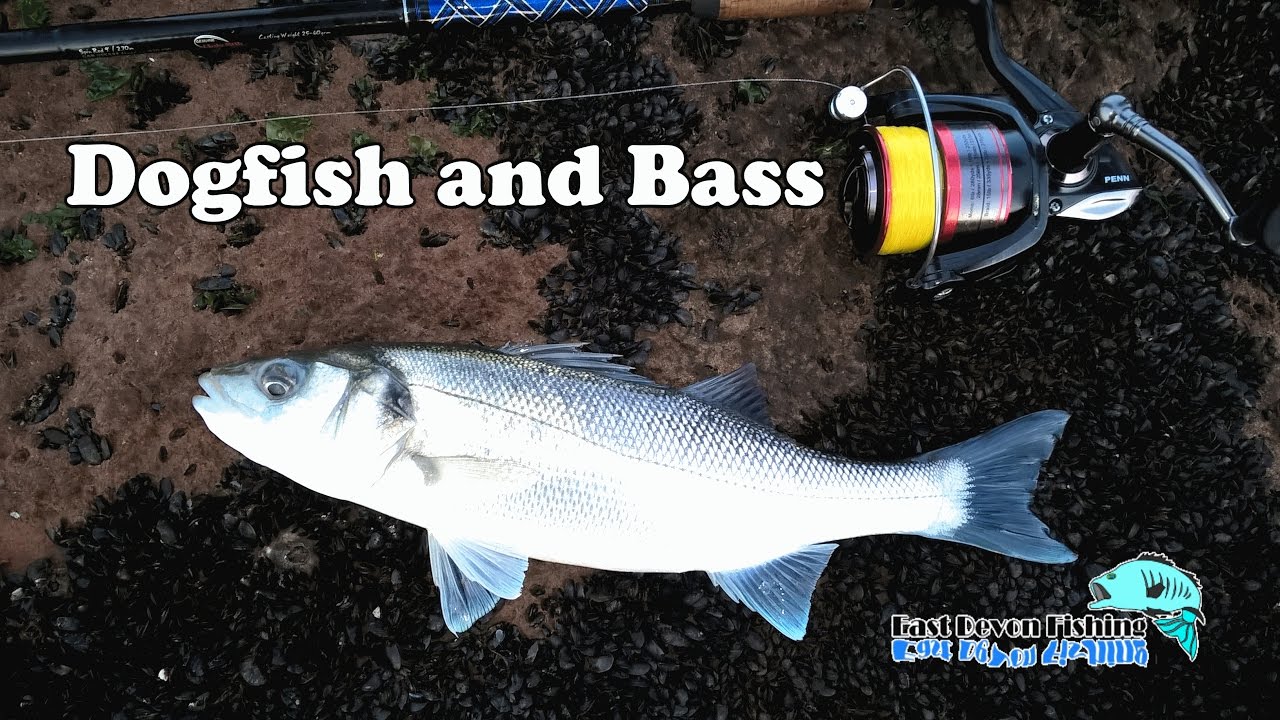 East Devon shore fishing - YouTube
