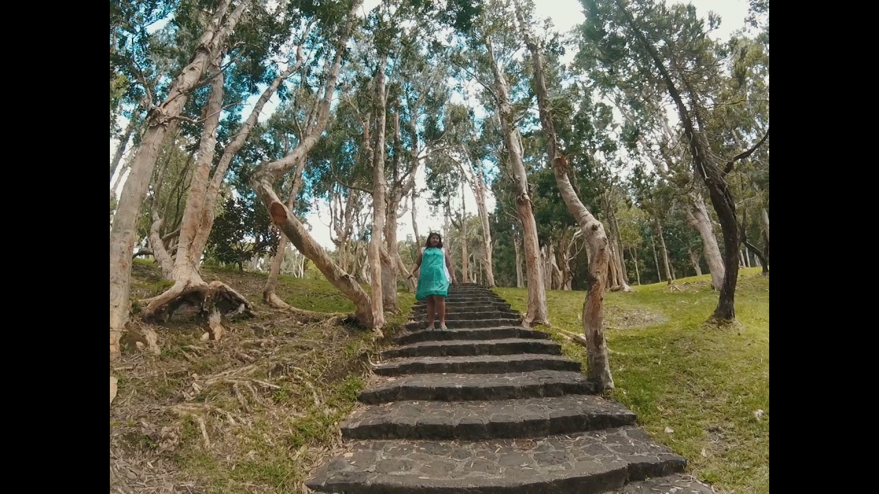 Mauritius Alexandra fall - YouTube