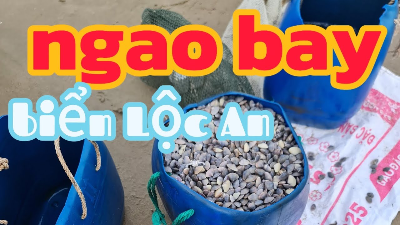 Ngao bay, ngập tràn biển Lộc An - YouTube