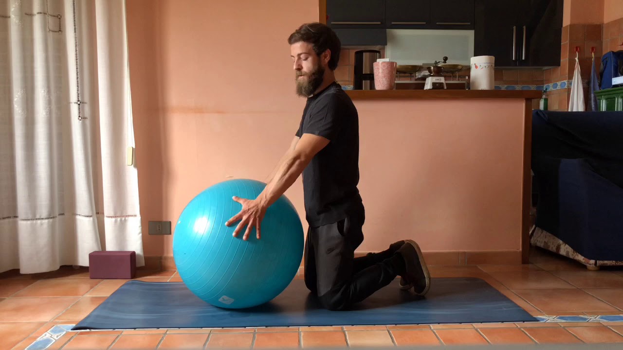 HOW TO START WITH CALISTHENICS - #1 Push-ups - Daniel Cirilli - YouTube