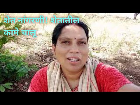 वायर अडकले ट्रॅक्टरला#नागरणी #शेतातील काम चालू#pallavi mundhe real vlog ...
