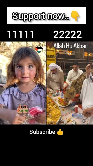 Support now..👍 islamic shorts video 🥀🕋 #shorts #islamic #muslim #allah #trending #islamicshorts ...