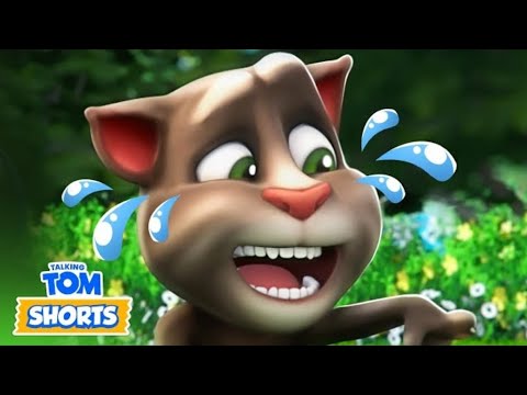 Tom cartoon 👿Tom drink magical potion 😁 Talking Tom | Daily Routine 🎯short film - YouTube