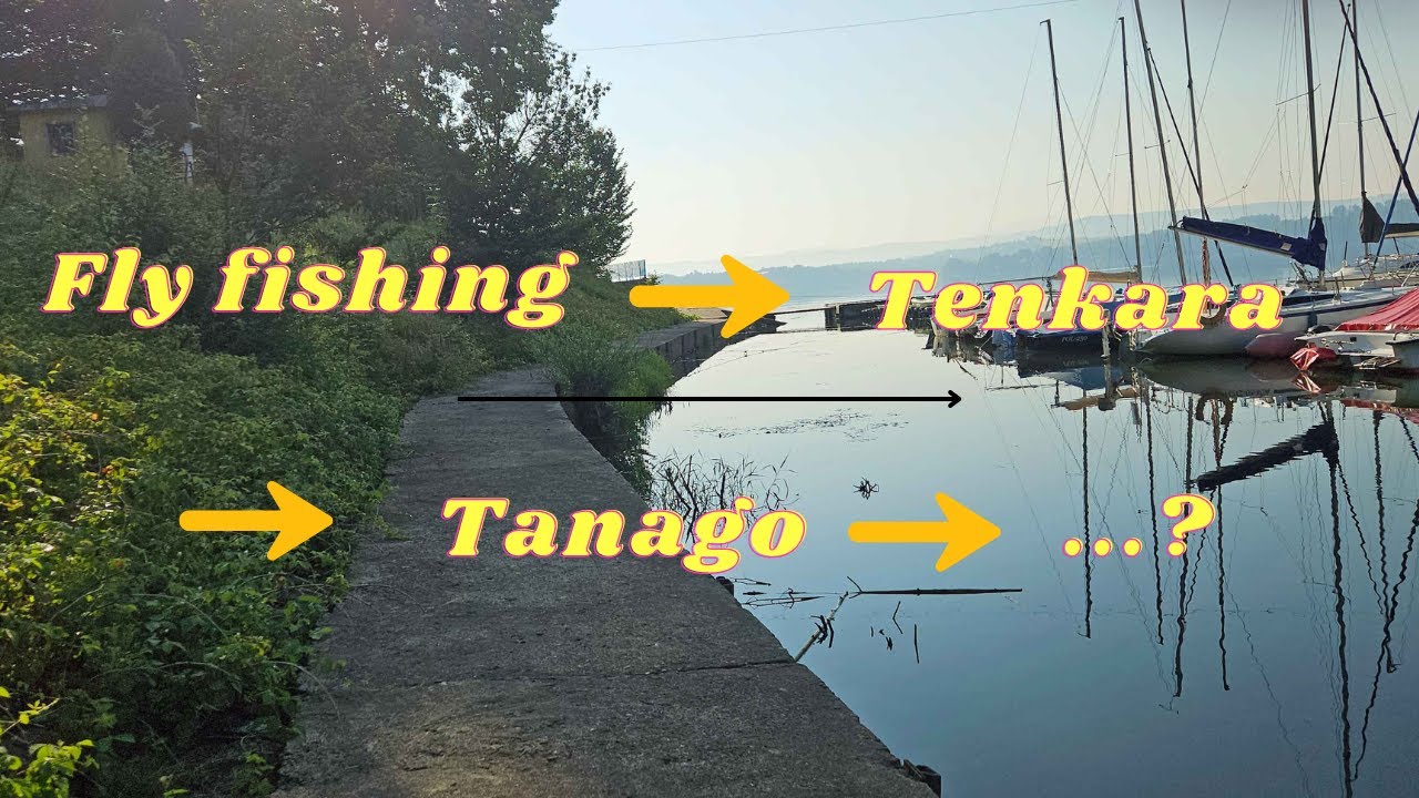 👉Jak łowić Tanago? Tanago Metoda Tanago Micro fishing 👈 - YouTube