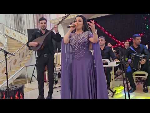 Bahar Letifqizi - Toy(Canlı İfa)