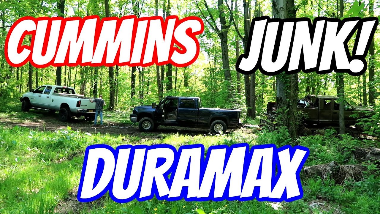 Extreme Junk Yard Dogs - YouTube