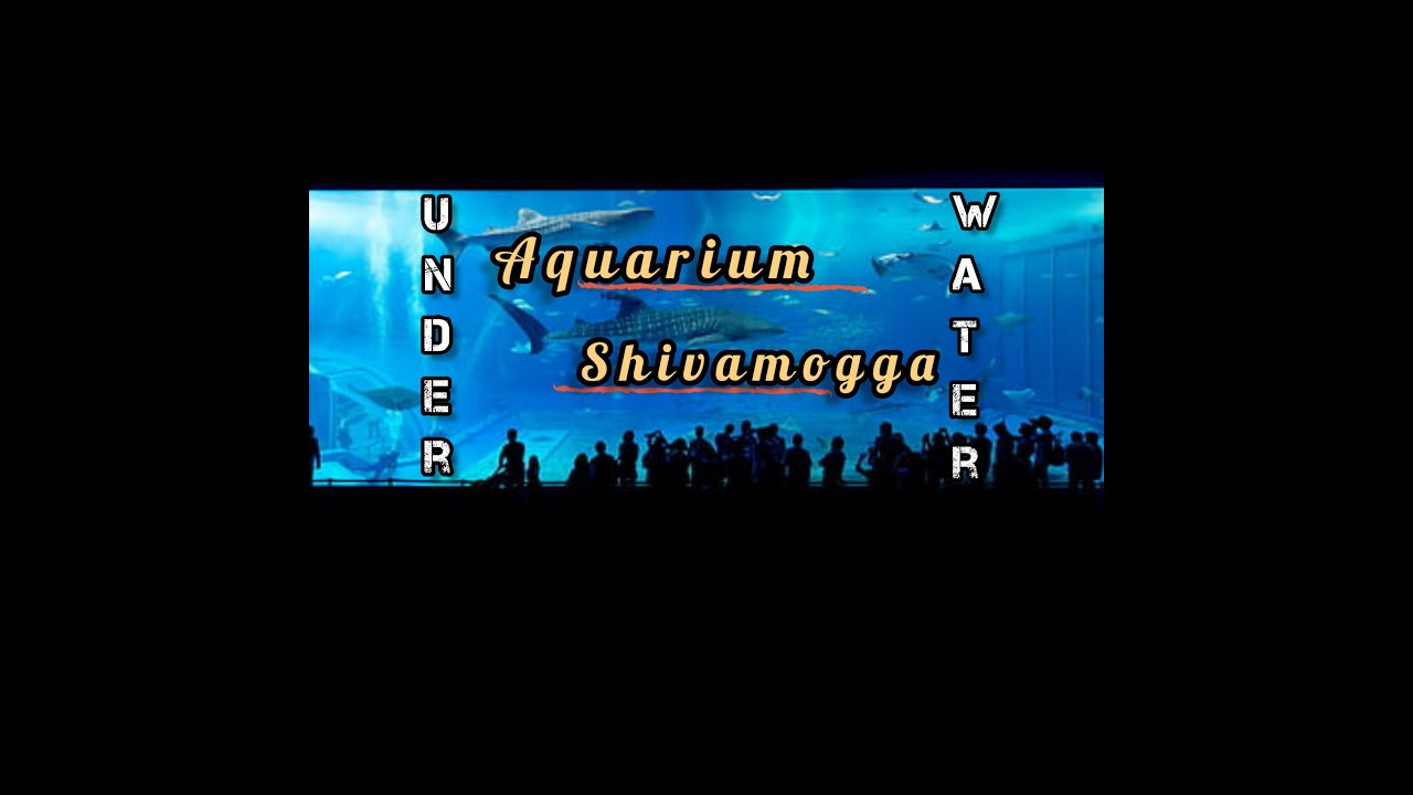 shivamogga exhibition 2023|| This is Exhibition 2023 in our city ...