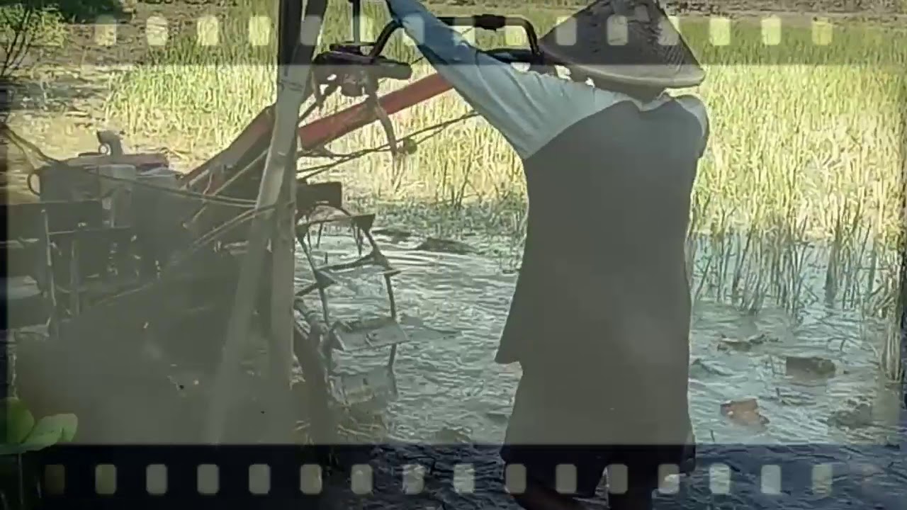 Traktor Pembajak Sawah | traktor sawah | traktor Yanmar | bajak sawah ...