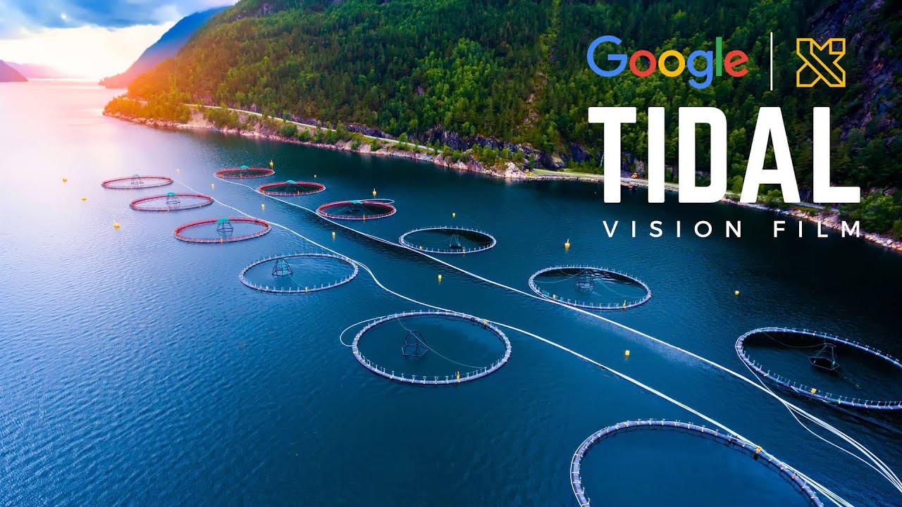 Google X: Tidal Vision Film - YouTube