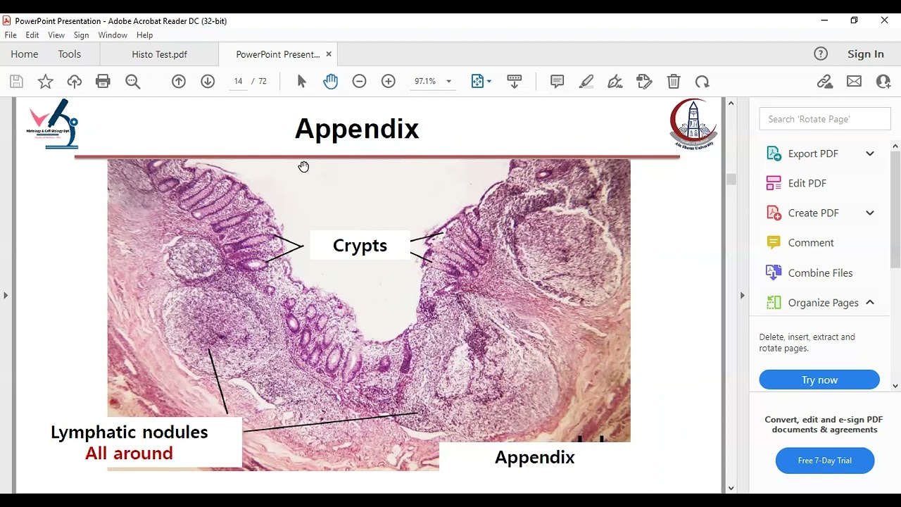 final git practical revision - YouTube