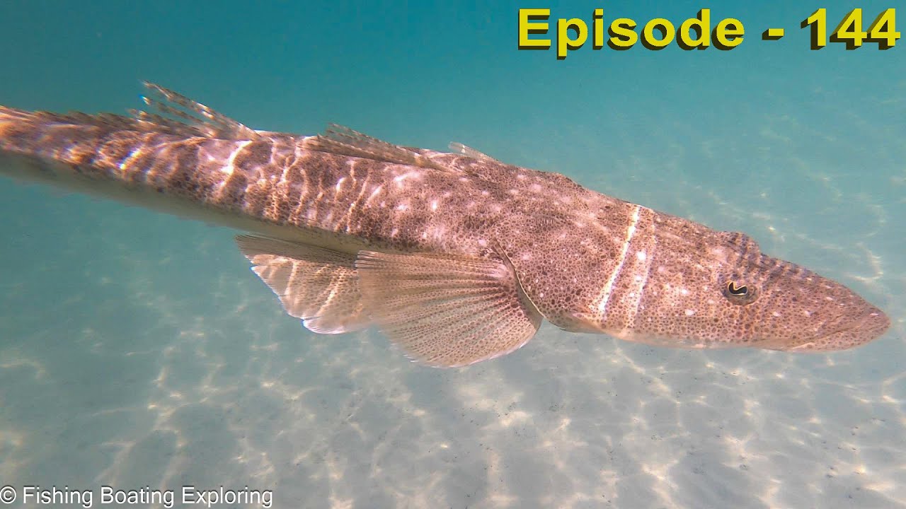 Tough Flathead Fishing After A Full Moon on K'gari - Fraser Island ...