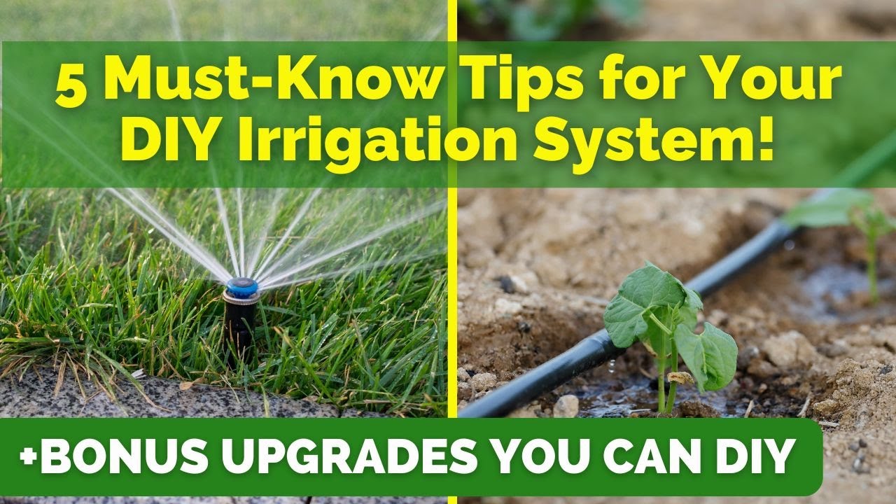 Landscape Irrigation Basics Plus Some Upgrades | DIY Landscaping - YouTube