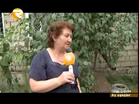Ay ushaqlar Quba