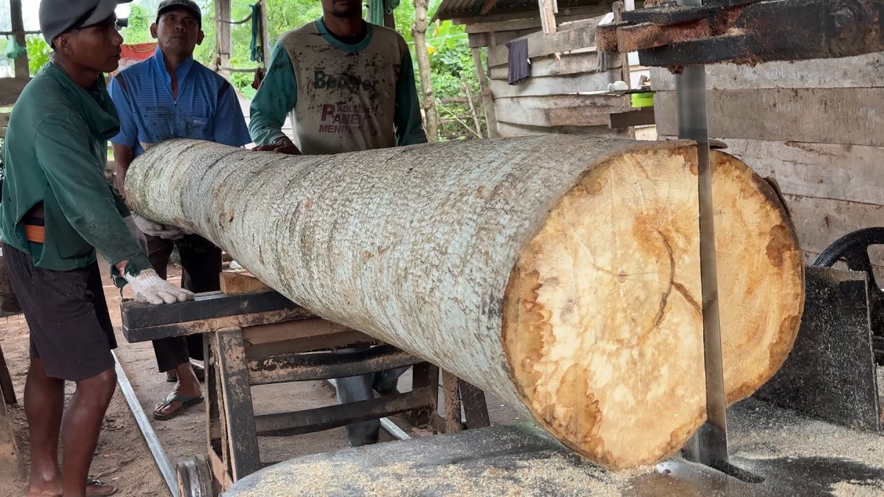 Fast Process of Sawing 5x5 Wood in Sawmill - YouTube
