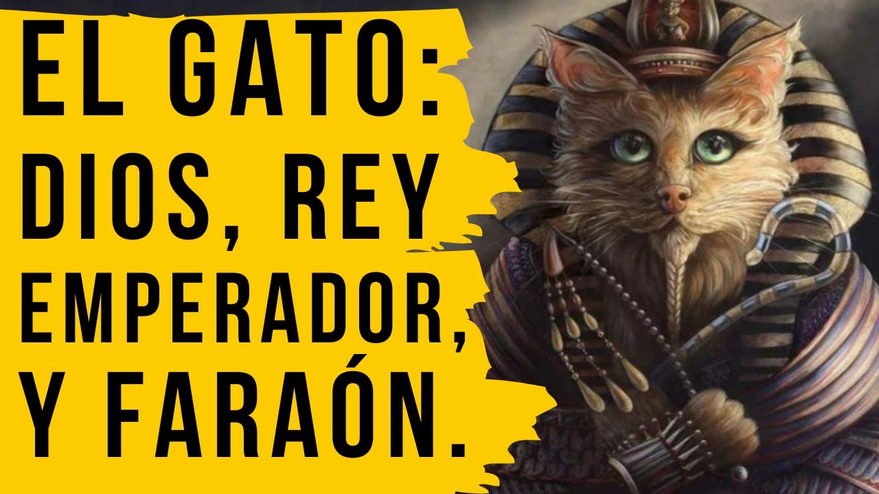 Dios Gato y su Milicia - YouTube