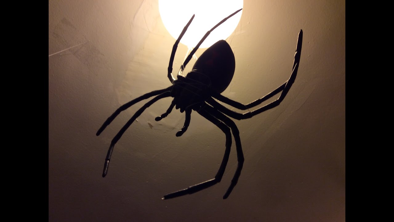 The Black Widow's Den (Spider Infestation, Apartment Room Tour ...