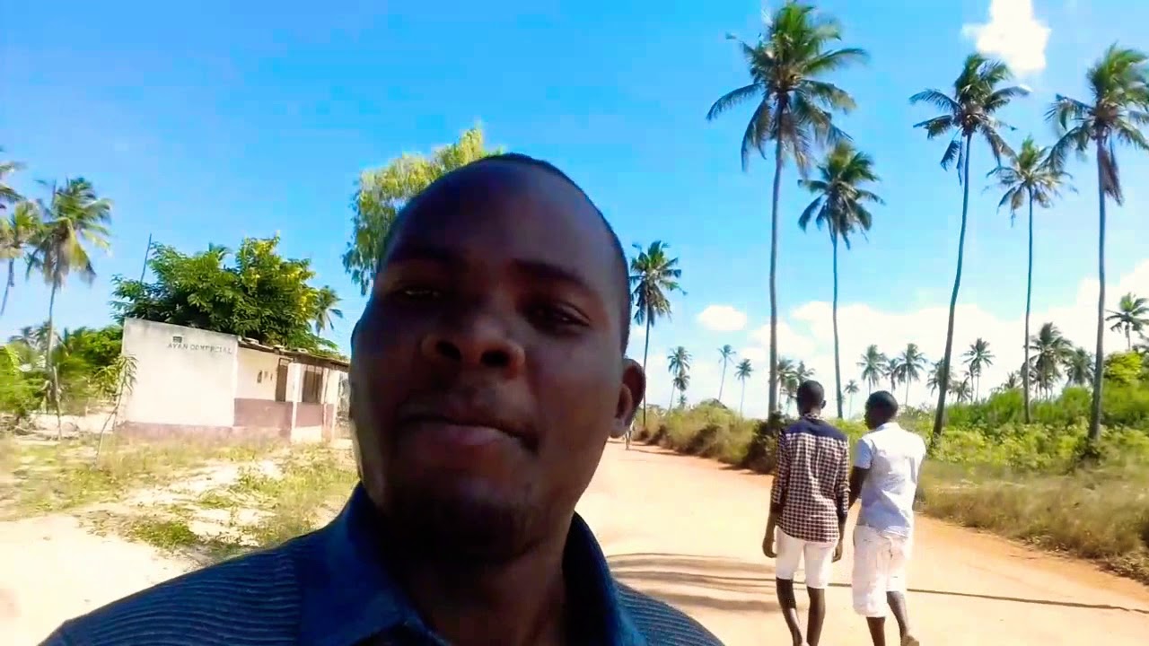 ESTRADA PRINCIPAL DO DISTRITO DE PEBANE • África • Moçambique • Vieira ...