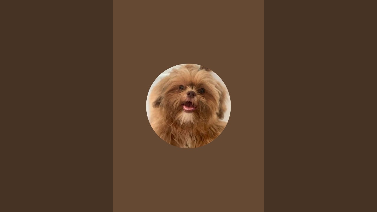 LynM | Silent Live♥️ - YouTube