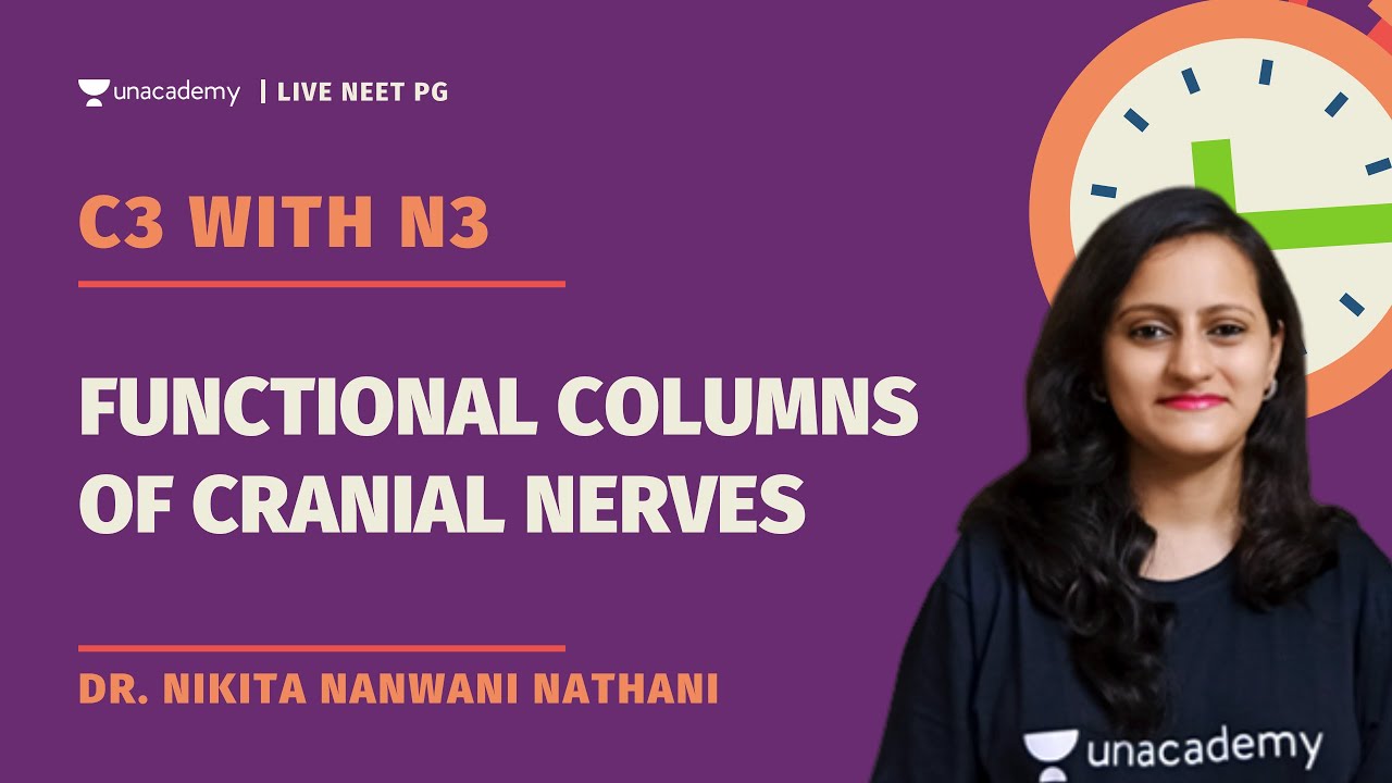 C3 with N3- Functional columns of cranial nerves | Dr. Nikita Nanwani ...