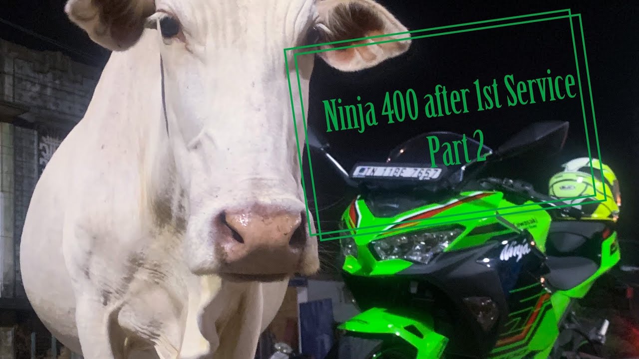 Ninja 400 -Part 2 Review After 1st Service - What’s Inside The Bike 💚 ...